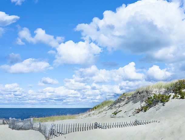 Race Point Beach Hotel | Harbor Hotel Provincetown
